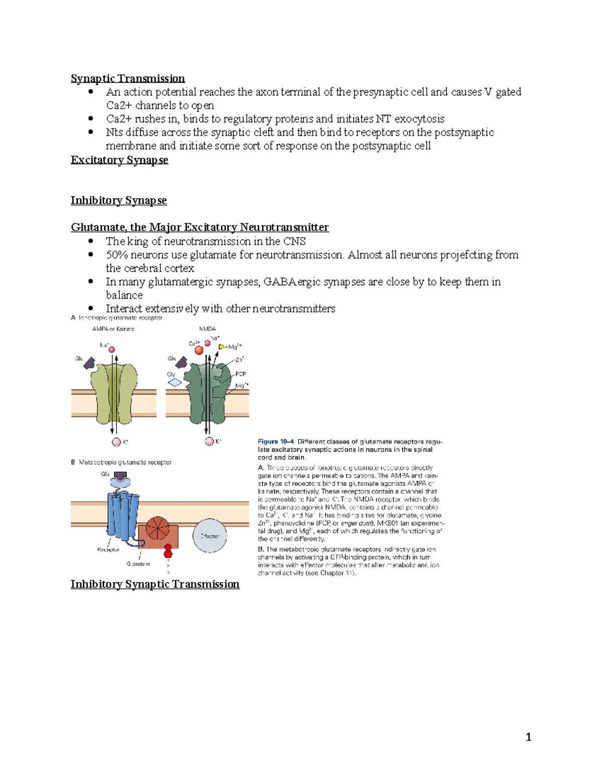 Lecture 5 Synaptic Transmission - Synaptic Transmission An action ...
