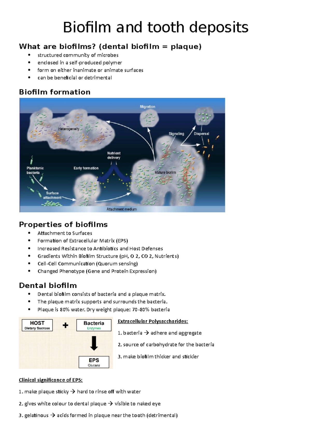 Biofilms and tooth deposits - The plaque matrix supports and surrounds ...