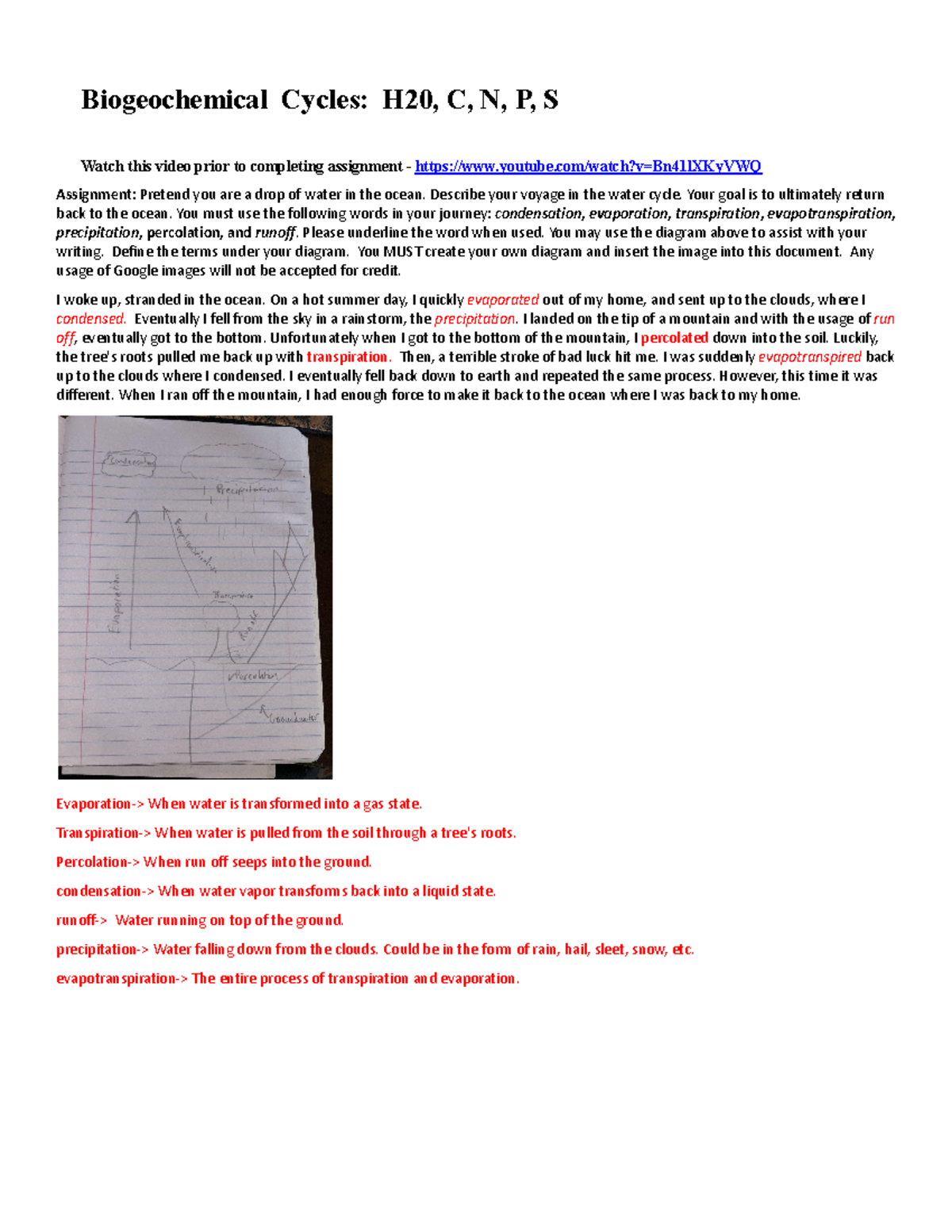 Biogeochemical Cycle Review - Biogeochemical Cycles: H20, C, N, P, S ...