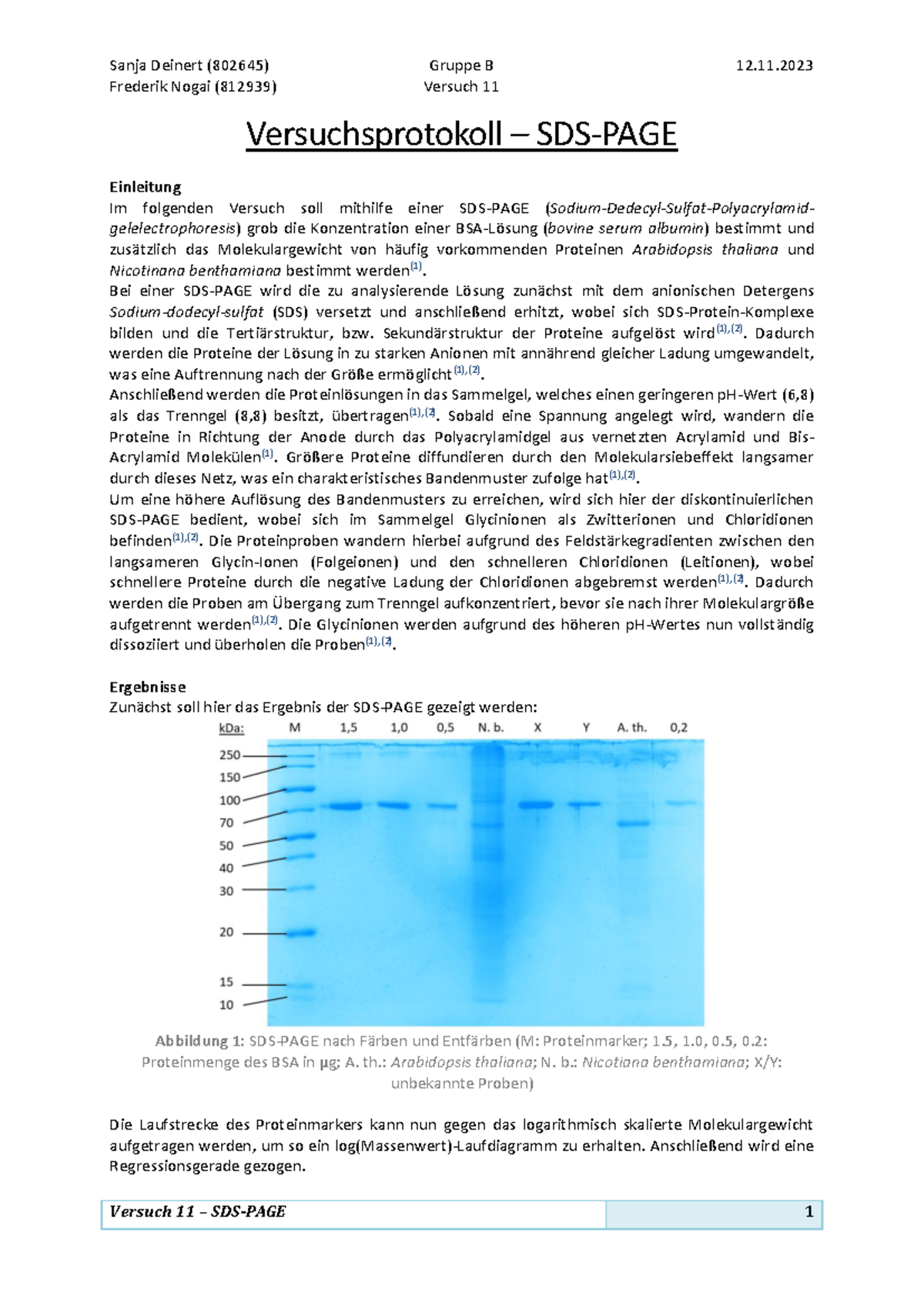 Protokoll V11 Gruppe B - Sanja Deinert ( 802645 ) Gruppe B 12. Frederik Nogai (812939) Versuch ...