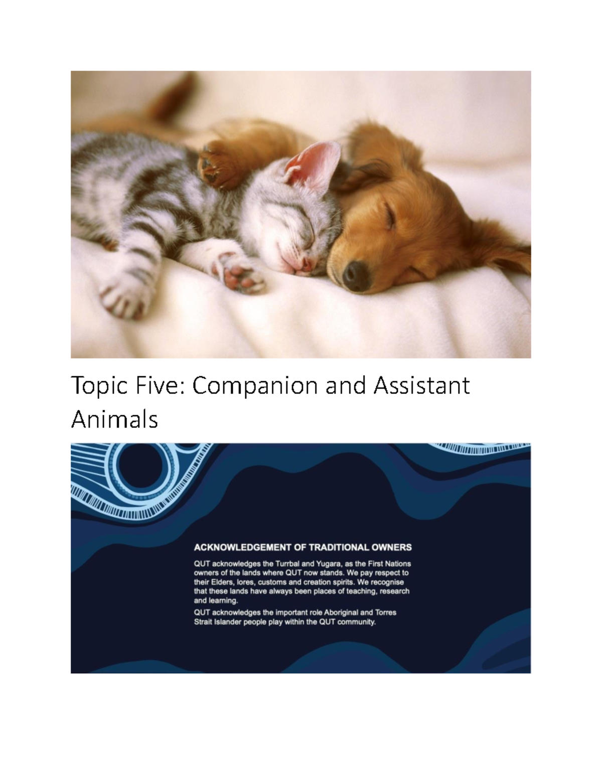 Topic Five Companion and Assistant Animals - Topic Five: Companion and ...