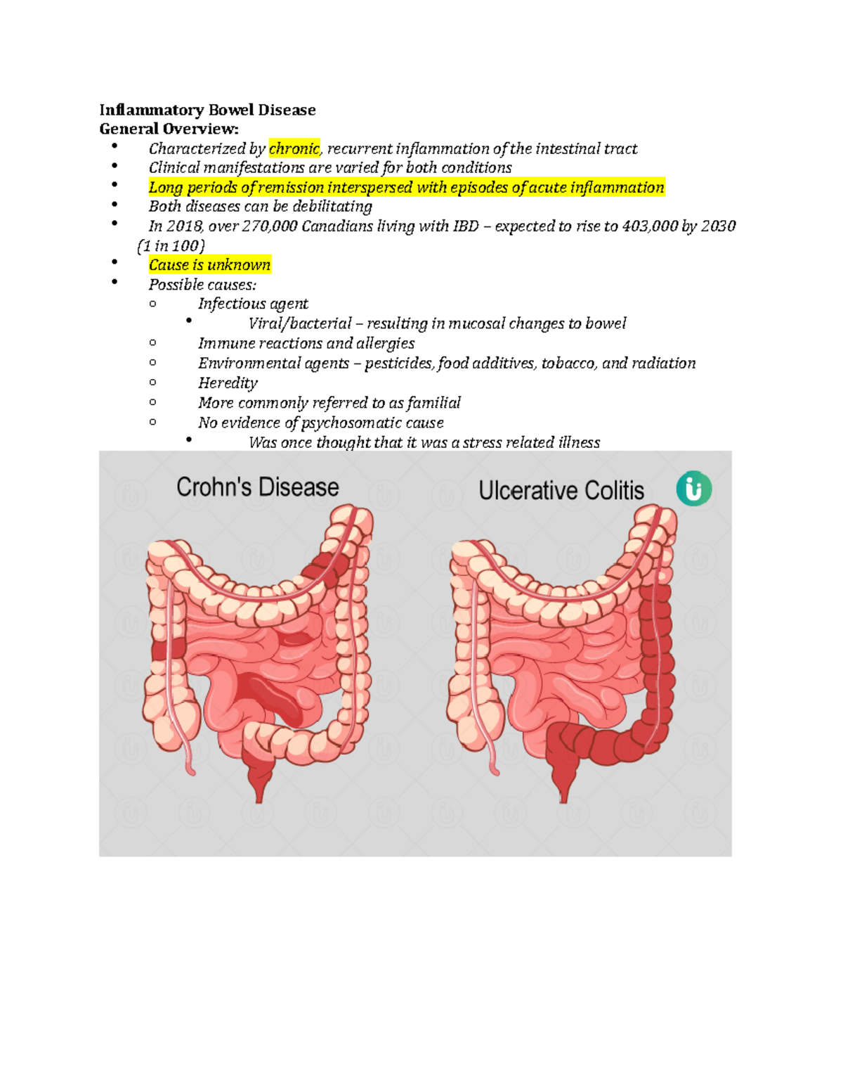 Inflammatory Bowel Disease - Inflammatory Bowel Disease General ...