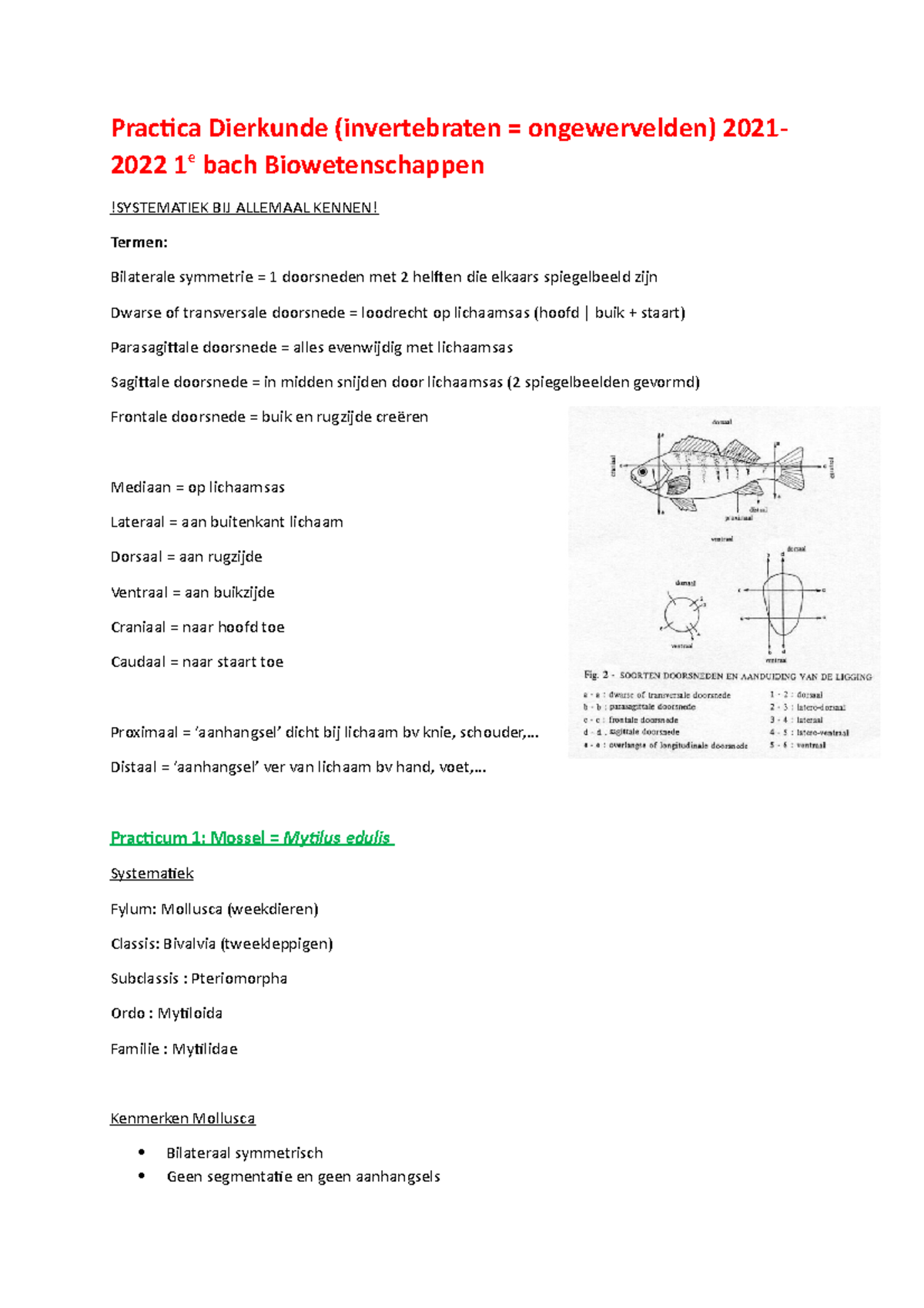Practica Dierkunde - .. Distaal = ‘aanhangsel’ ver van lichaam bv hand ...