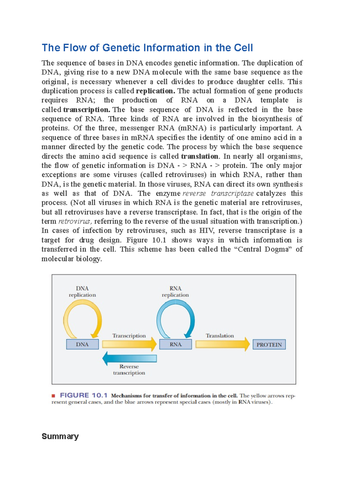 The Flow of Genetic Information in the Cell - The duplication of DNA ...