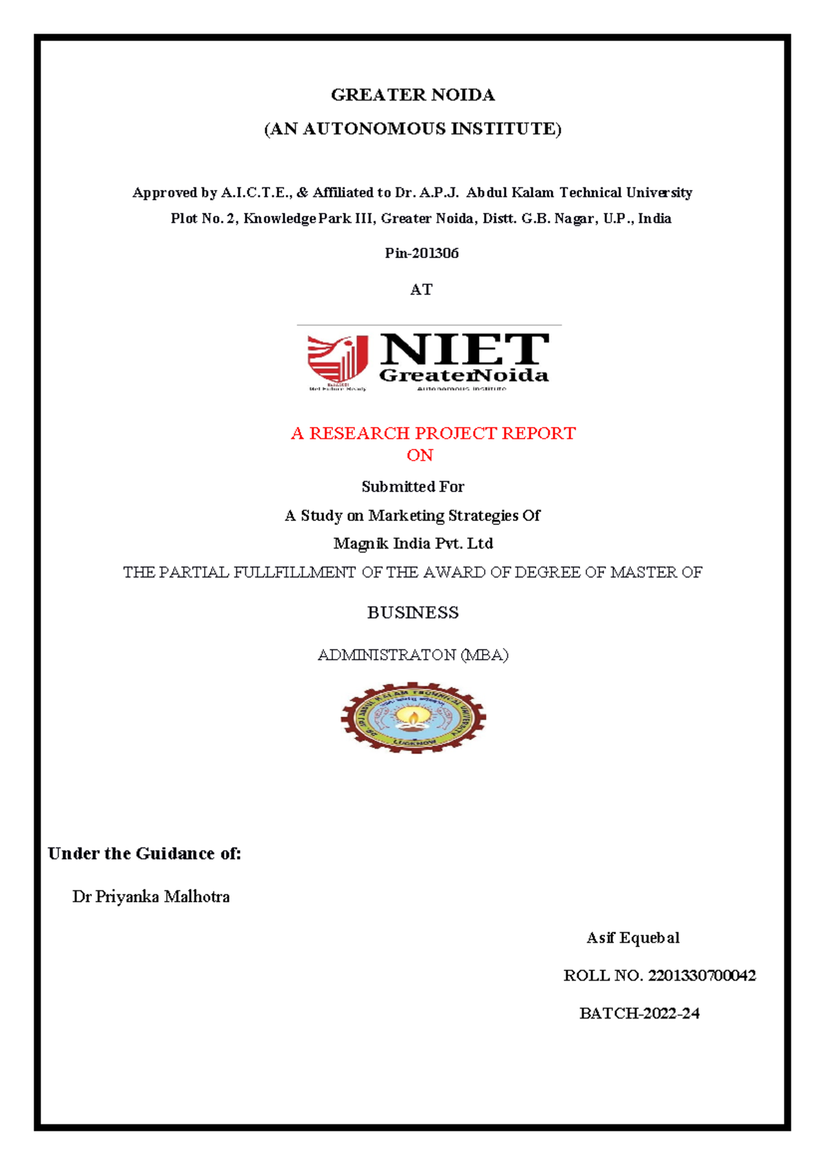 A Study on Marketing Strategies Of Magnik India Pvt - GREATER NOIDA (AN ...