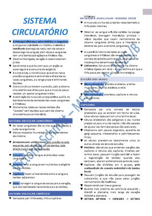 Histologia De sistema circulatorio resumo - Warning: TT: undefined function: 32 SISTEMA ...