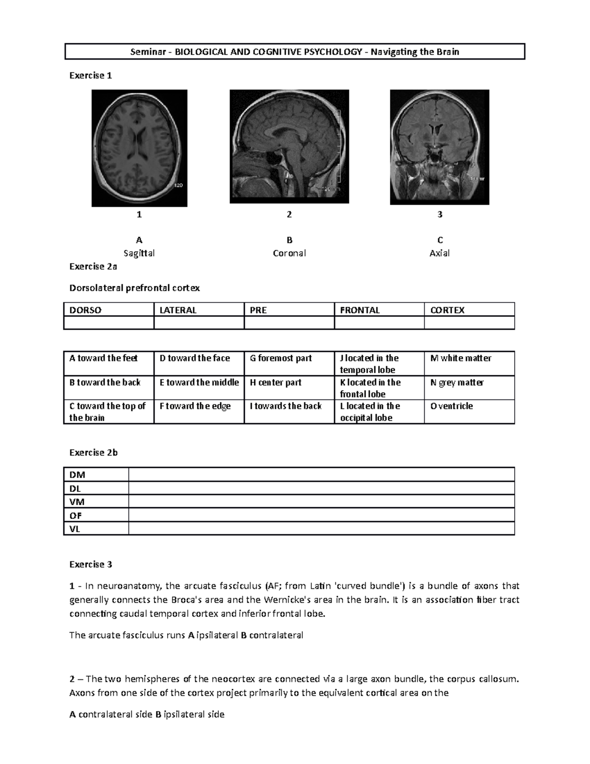Seminar Test Sheet - Seminar - BIOLOGICAL AND COGNITIVE PSYCHOLOGY ...