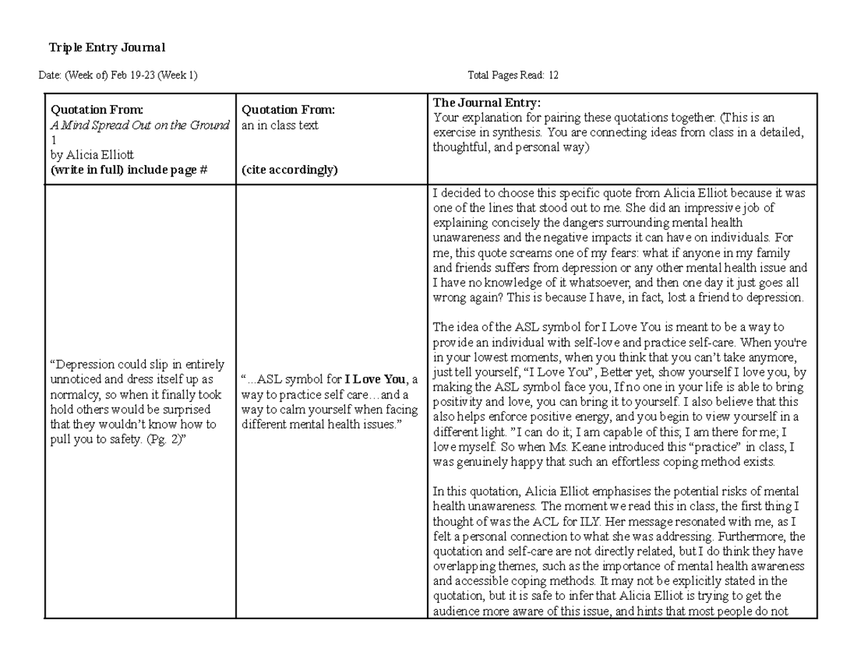 NBE- Triple Entry Journal Chart -Anzeela Noor.docx - Triple Entry ...