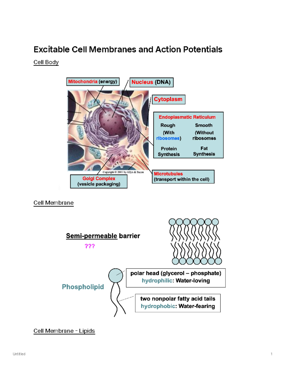 M2 - BNeurosci - M2 full lecture notes - Excitable Cell Membranes and ...