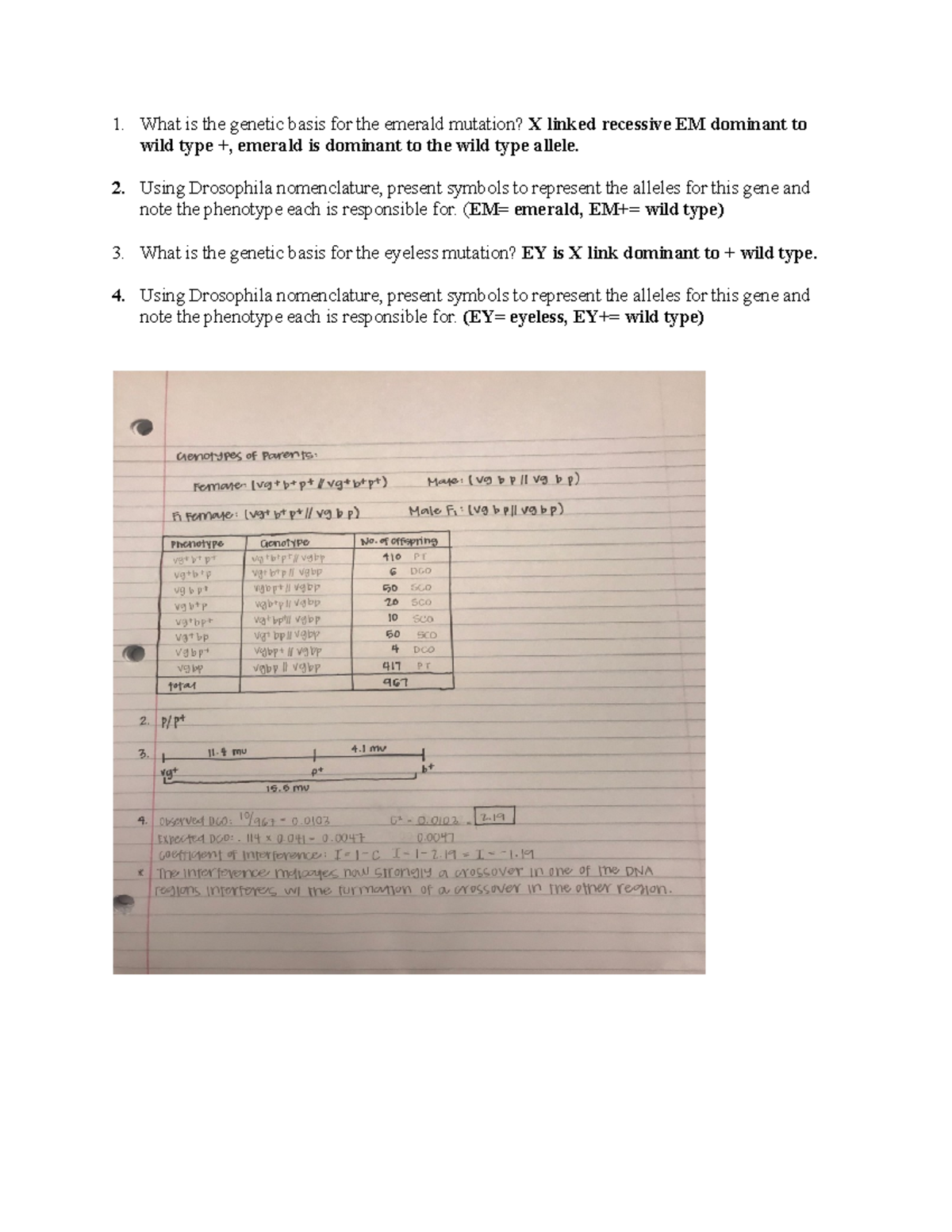 Practice Test 3 Genetics Lab - What is the genetic basis for the ...