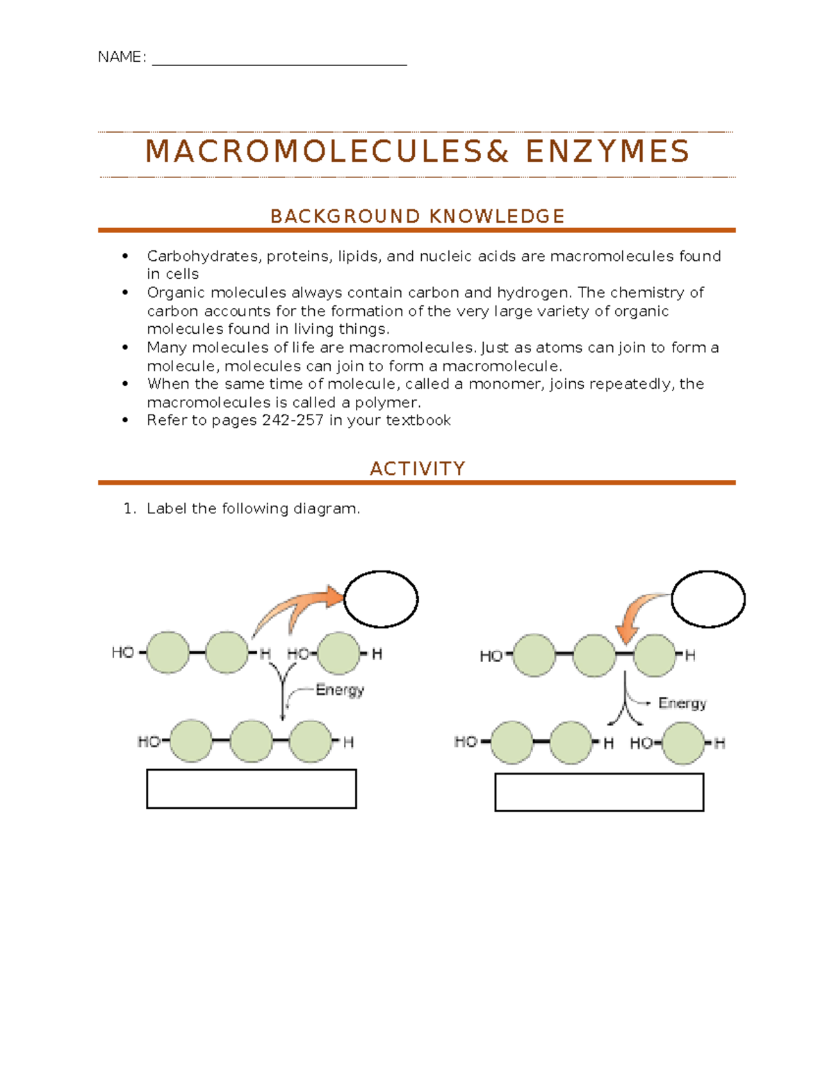 Macromolecules Carbohydrates Lipids Proteinsand More-1 - NAME