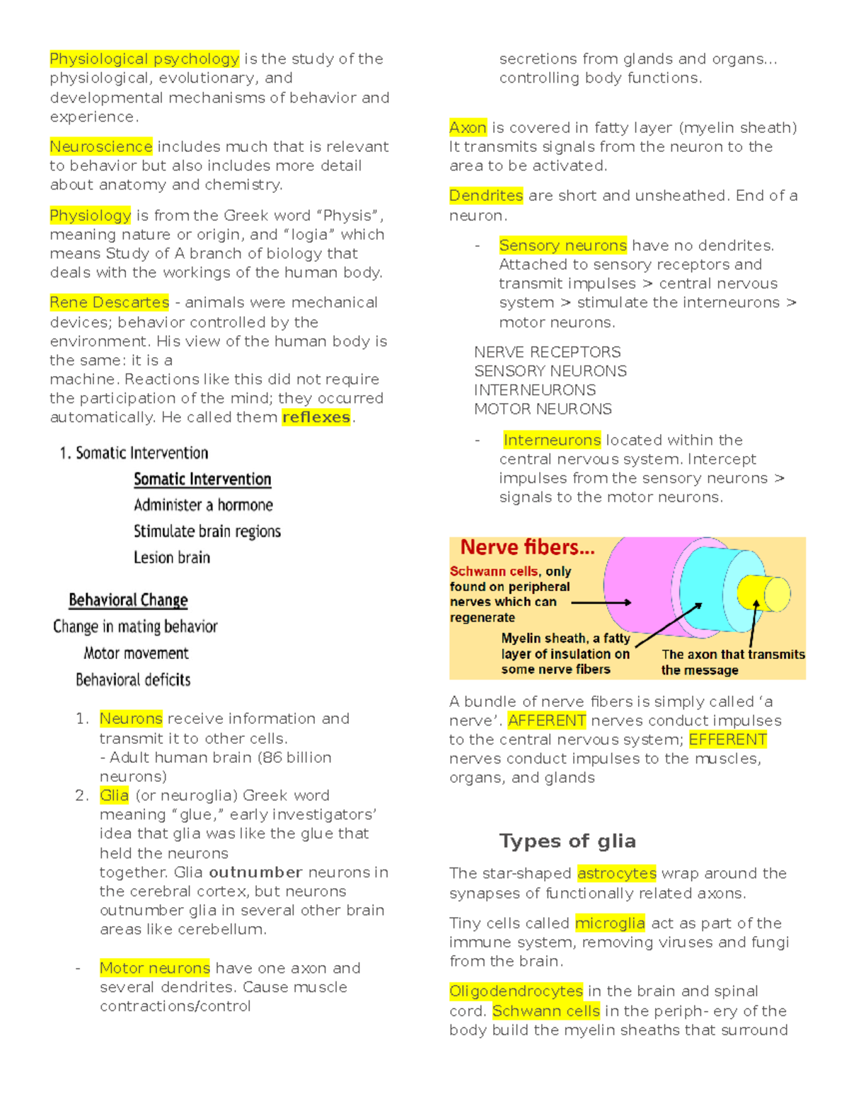 Physiological psychology is the study of the physiological ...