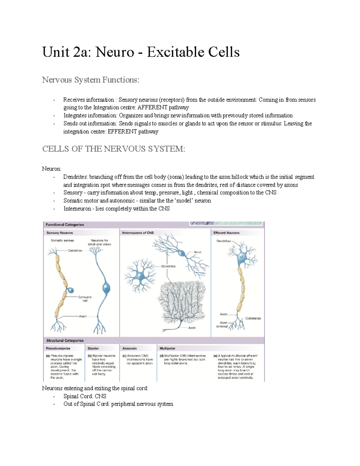 BIO 273 Notes - Heidi E. Engelhardt - Unit 2a: Neuro - Excitable Cells ...