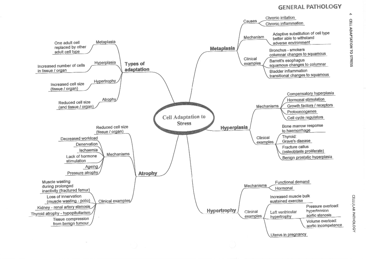Pathology Mind Maps - Biotechnologie in Österreich - Studocu