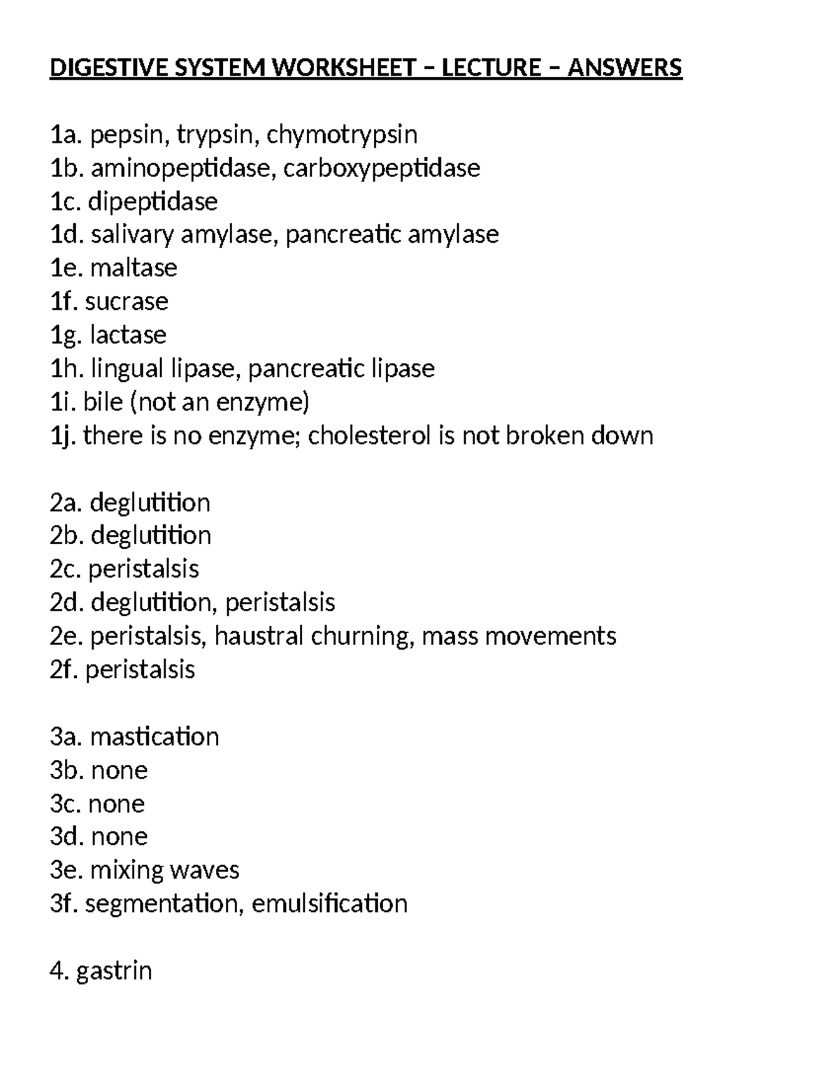 Digestive System Worksheet - Lecture - Answers - DIGESTIVE SYSTEM ...