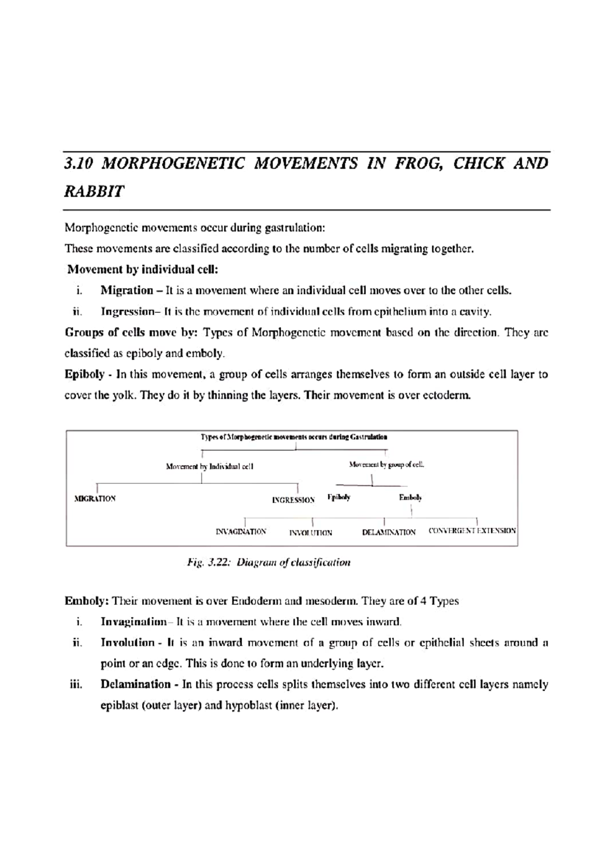 Morphogenetic Movements IN FROG, Chick AND Rabbit - MSc. Zoology - Studocu