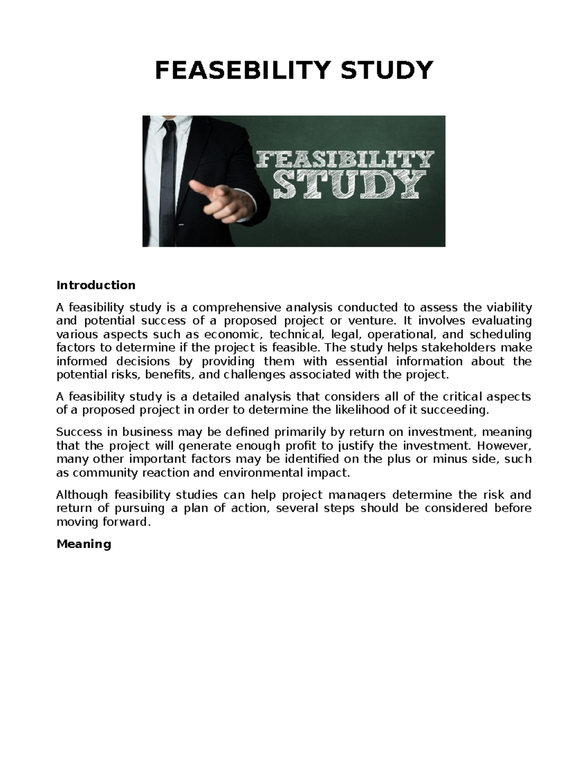 Feasibility Study - FEASEBILITY STUDY Introduction A feasibility study ...