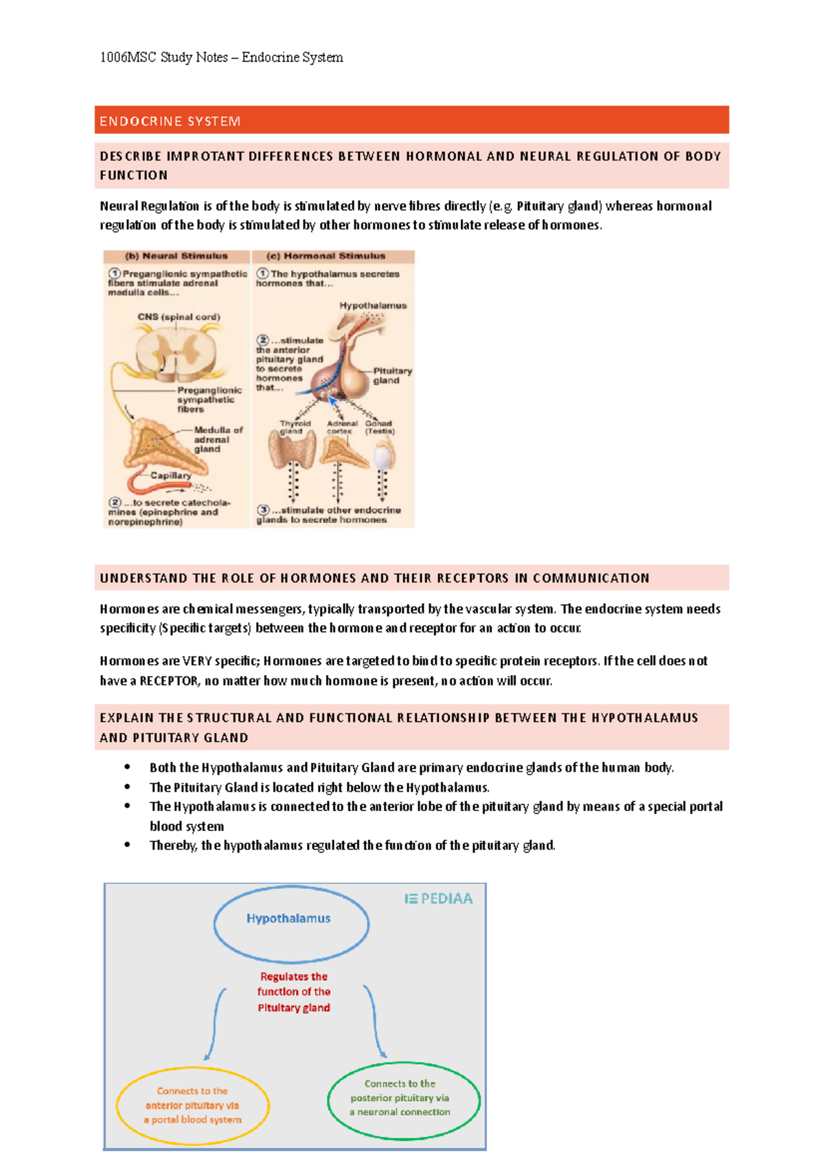 Endocrine System Study - 1006MSC - 1006MSC Study Notes – Endocrine ...