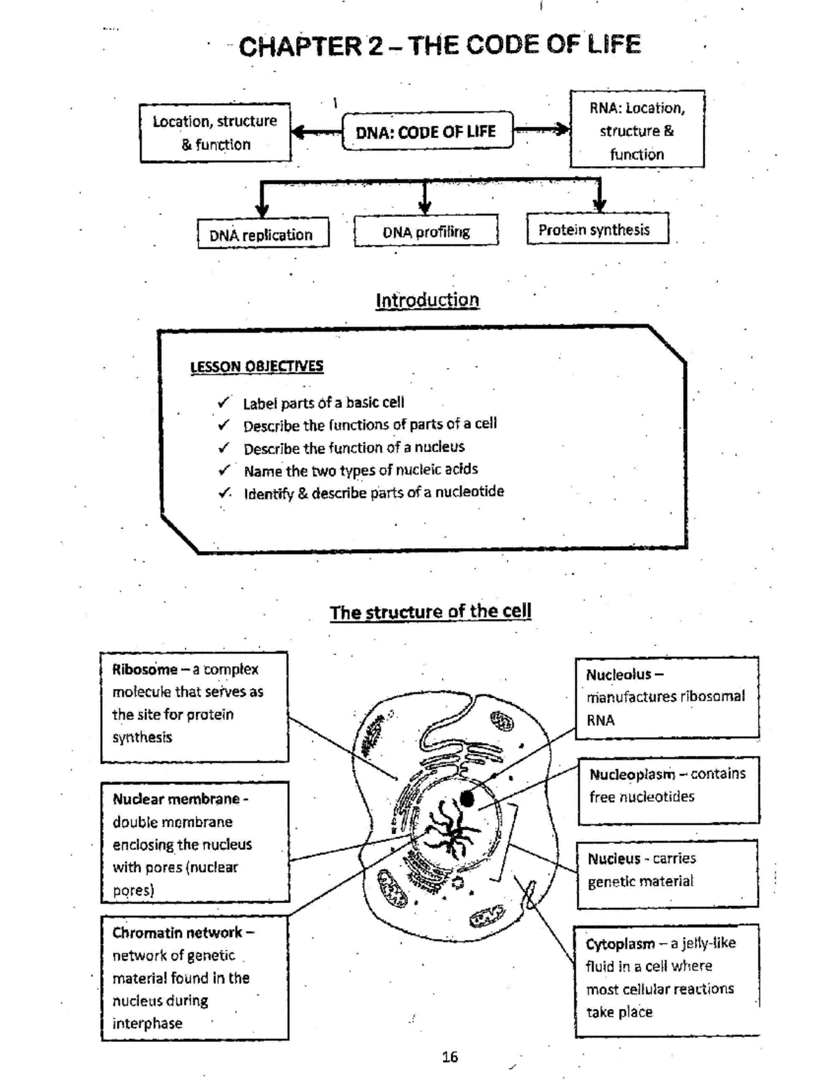 DNA - The Code Of Life - ZV - ES-101 - Studocu