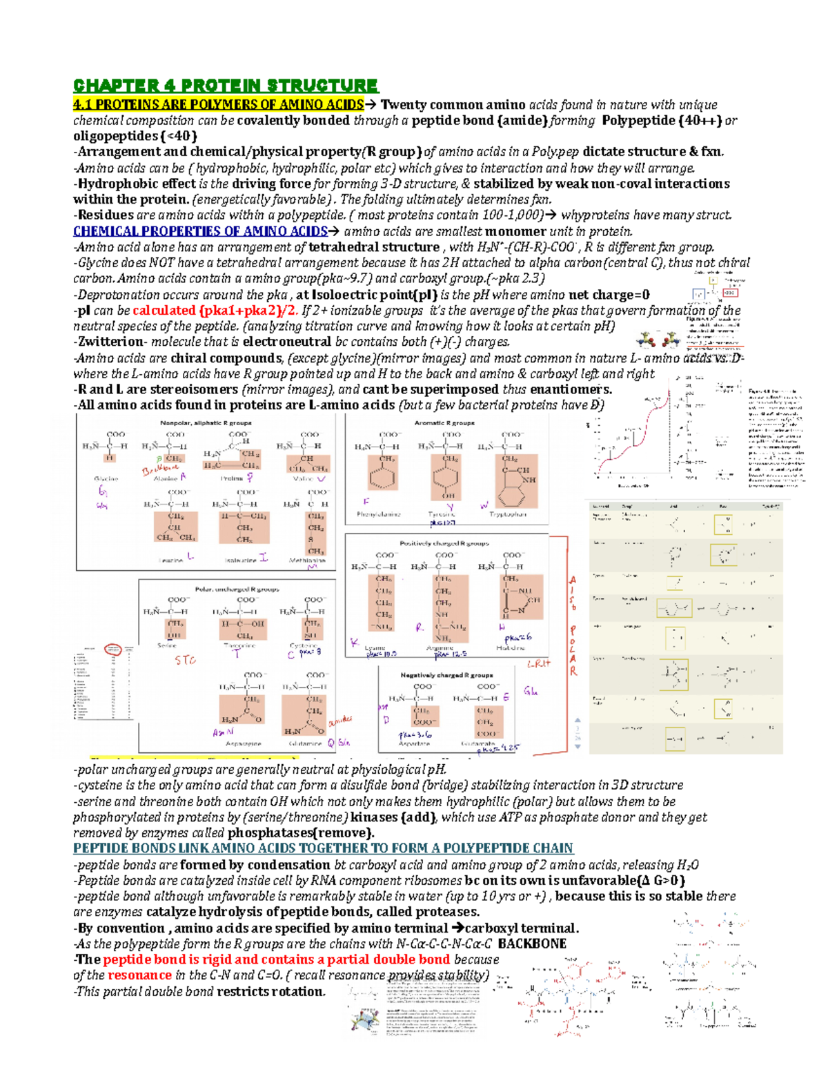 Biochem Chapter 4 - 7 - Summary Inorganic Chemistry - CHAPTER 4 PROTEIN ...