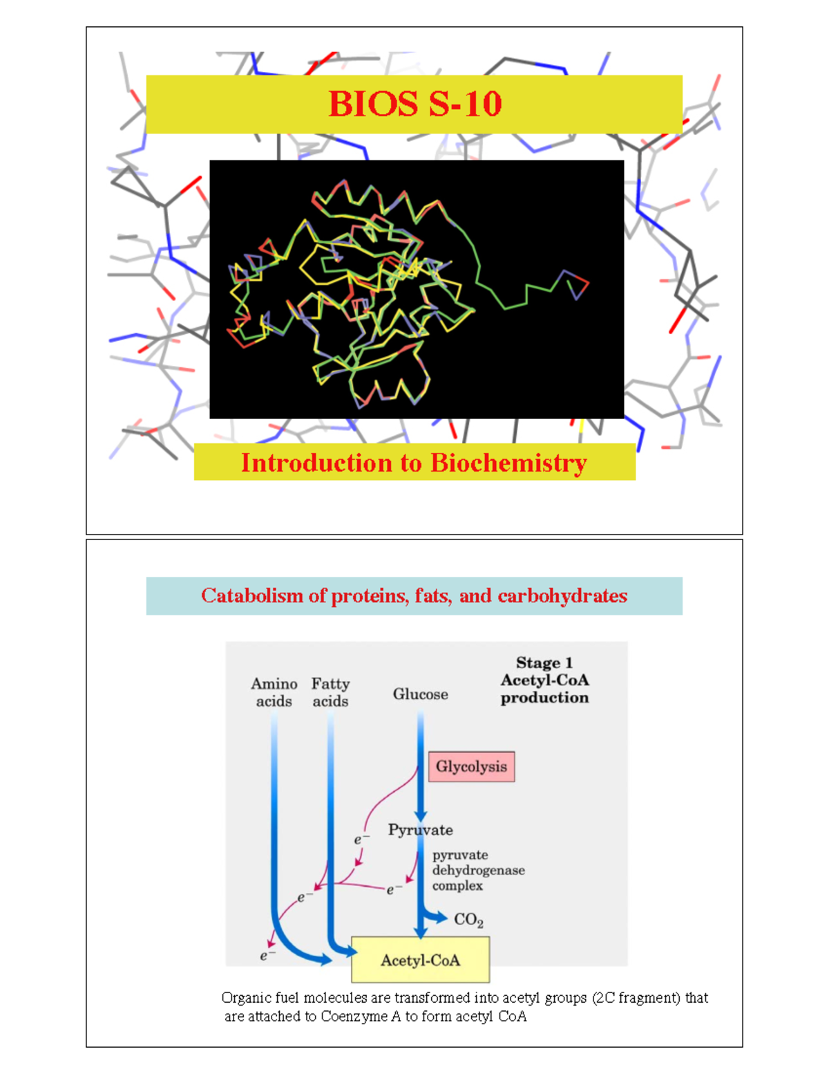 S-10 6 2019 - NOtes on the first half of the course - BIOS S ...