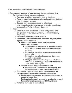 NGR6201L Focused SOAP Note Hypertension - Focused SOAP Template Student ...