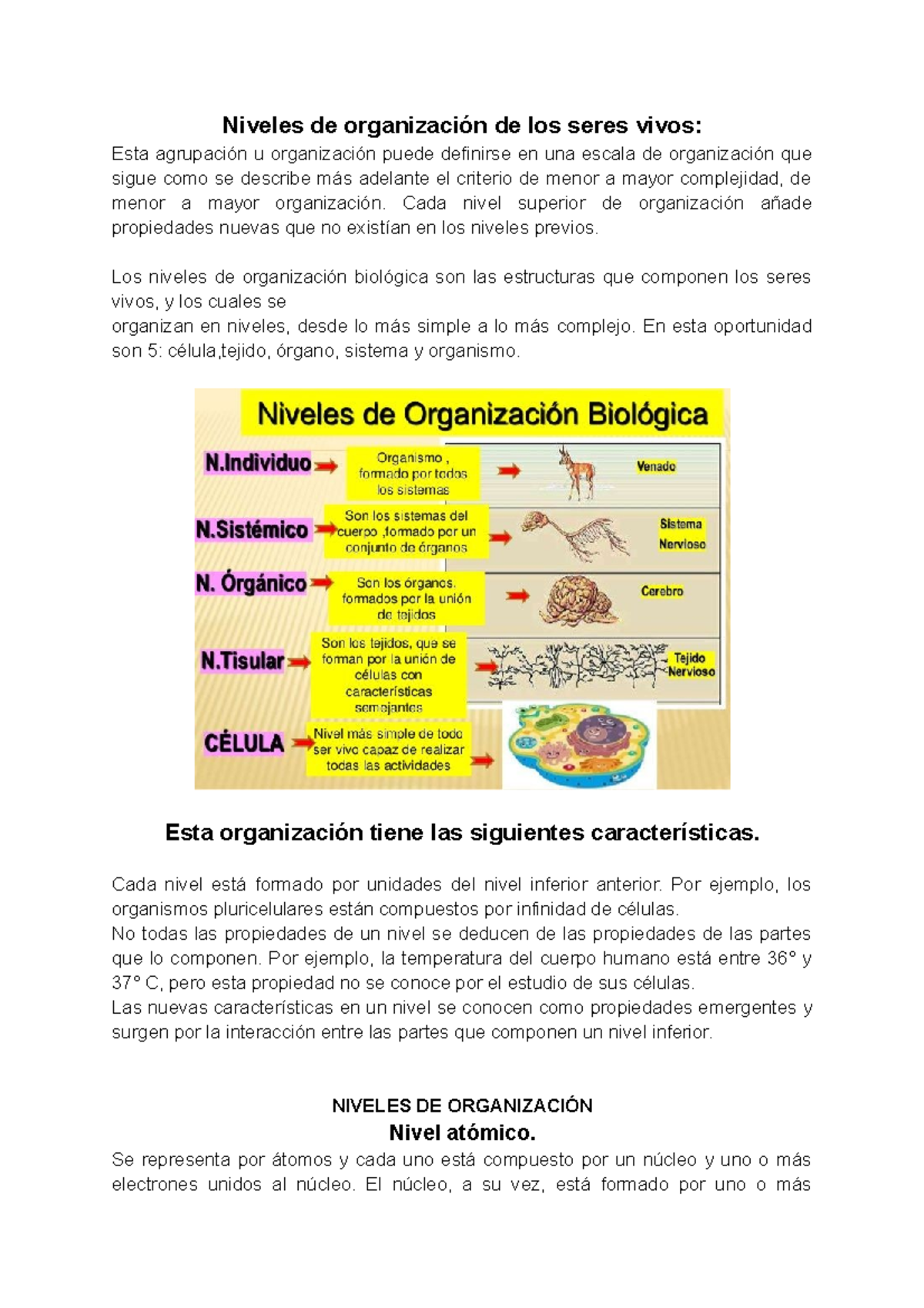 Documento sin título - casos y cosas - Niveles de organización de los ...