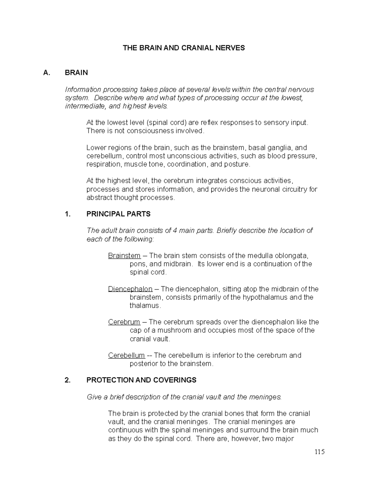 55455641 Study Guide 13 Brain and Cranial Nerves - THE BRAIN AND ...