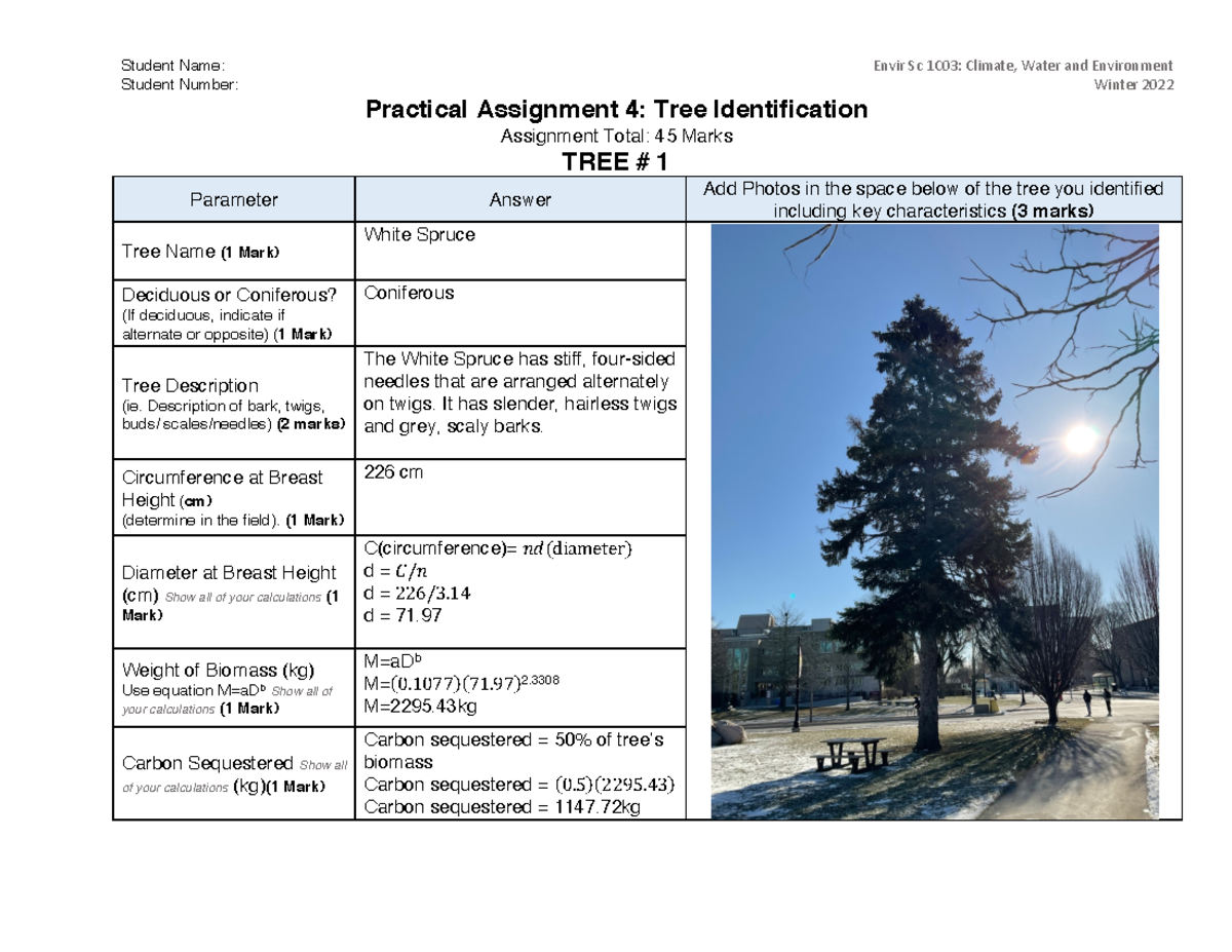 Practical Assignment 4 - Neighbourhood Tree ID - Winter 2022 - Student ...