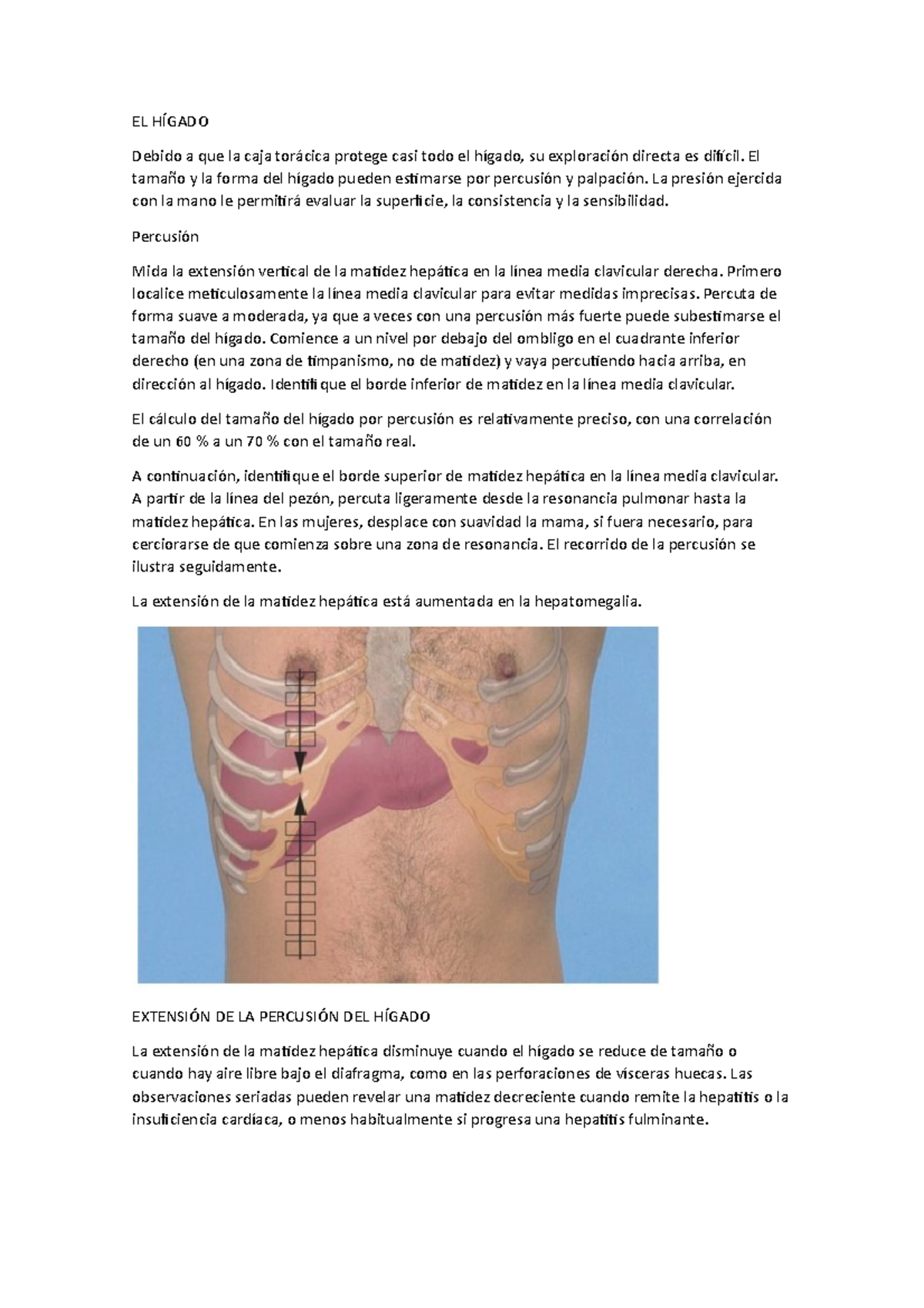 Percusión Hepática