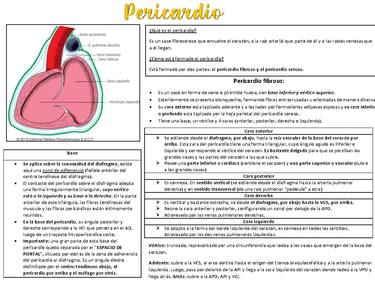 Studocu - Resúmenes, apuntes y preparación de exámenes gratis