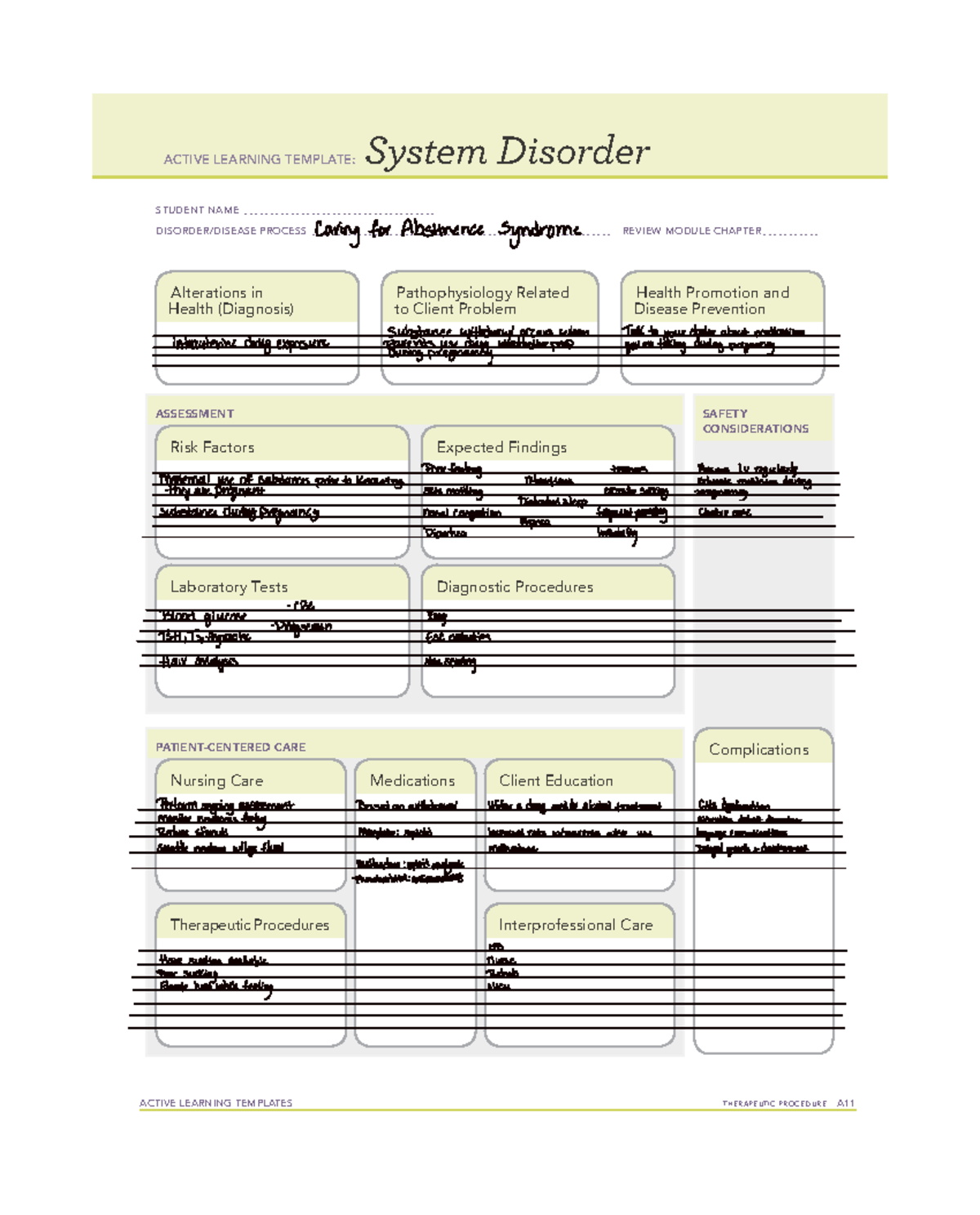 Caring for Substance abuse baby - ACTIVE LEARNING TEMPLATES THERAPEUTIC ...