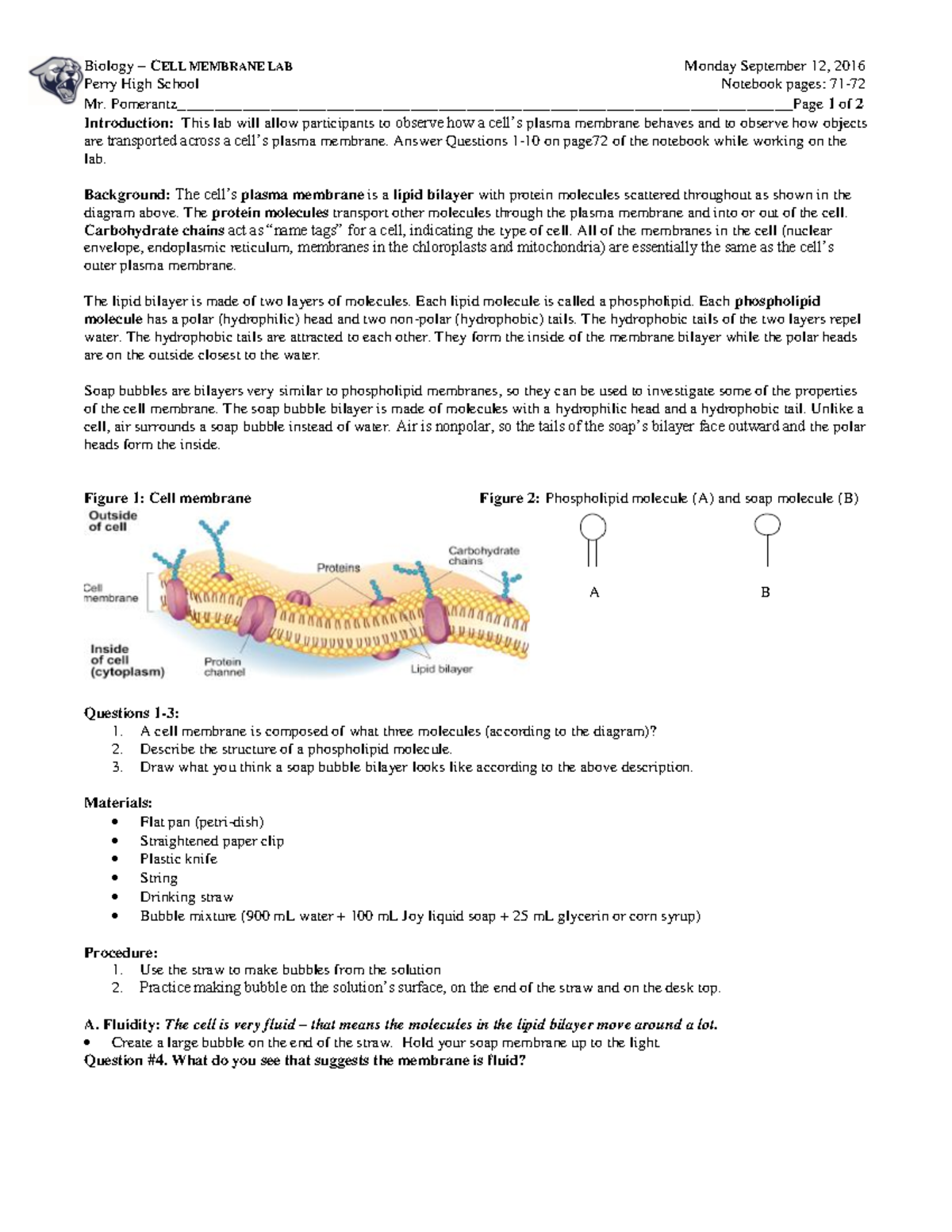 BIO Cell membrane lab 2016-17 - Biology – CELL MEMBRANE LAB Monday ...