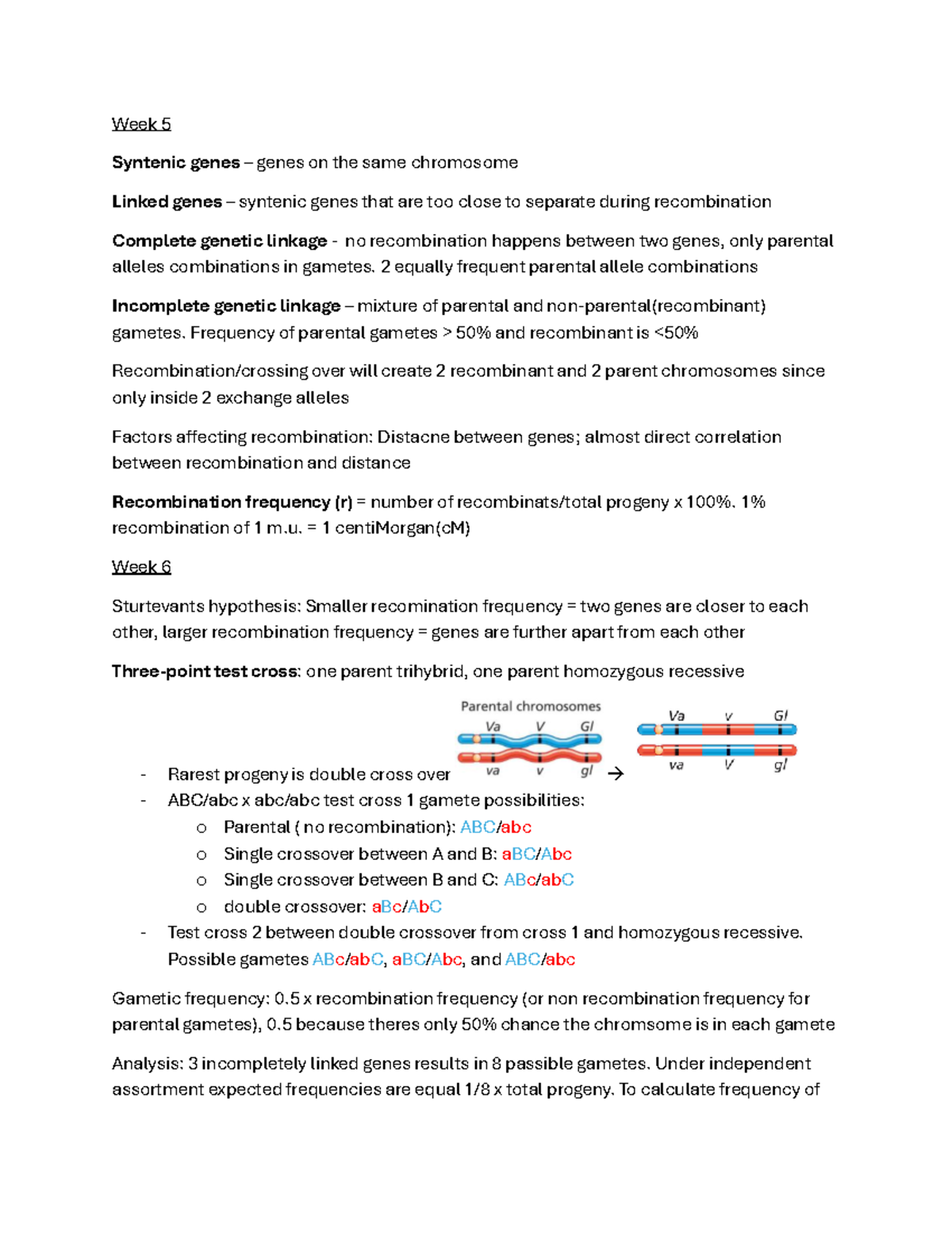 Genetics Test 2 - Lecture and course summary for content included in ...