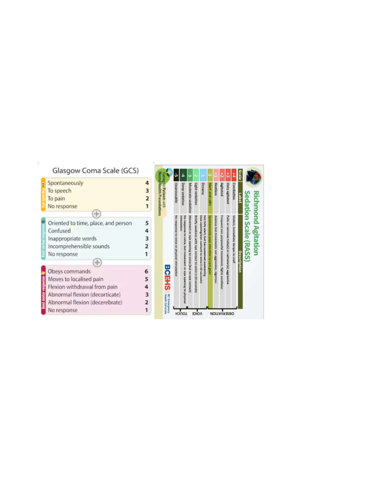 Card print - scales - MEd surg - Studocu