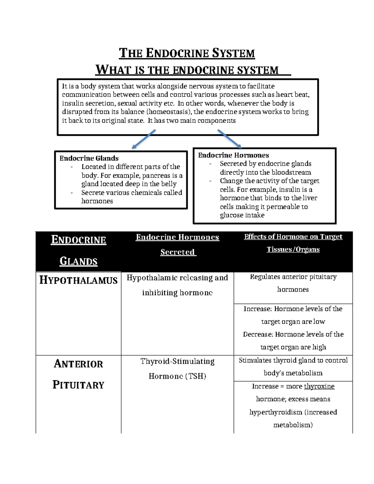 Endocrine System Complete - THE ENDOCRINE SYSTEM WHAT IS THE ENDOCRINE ...
