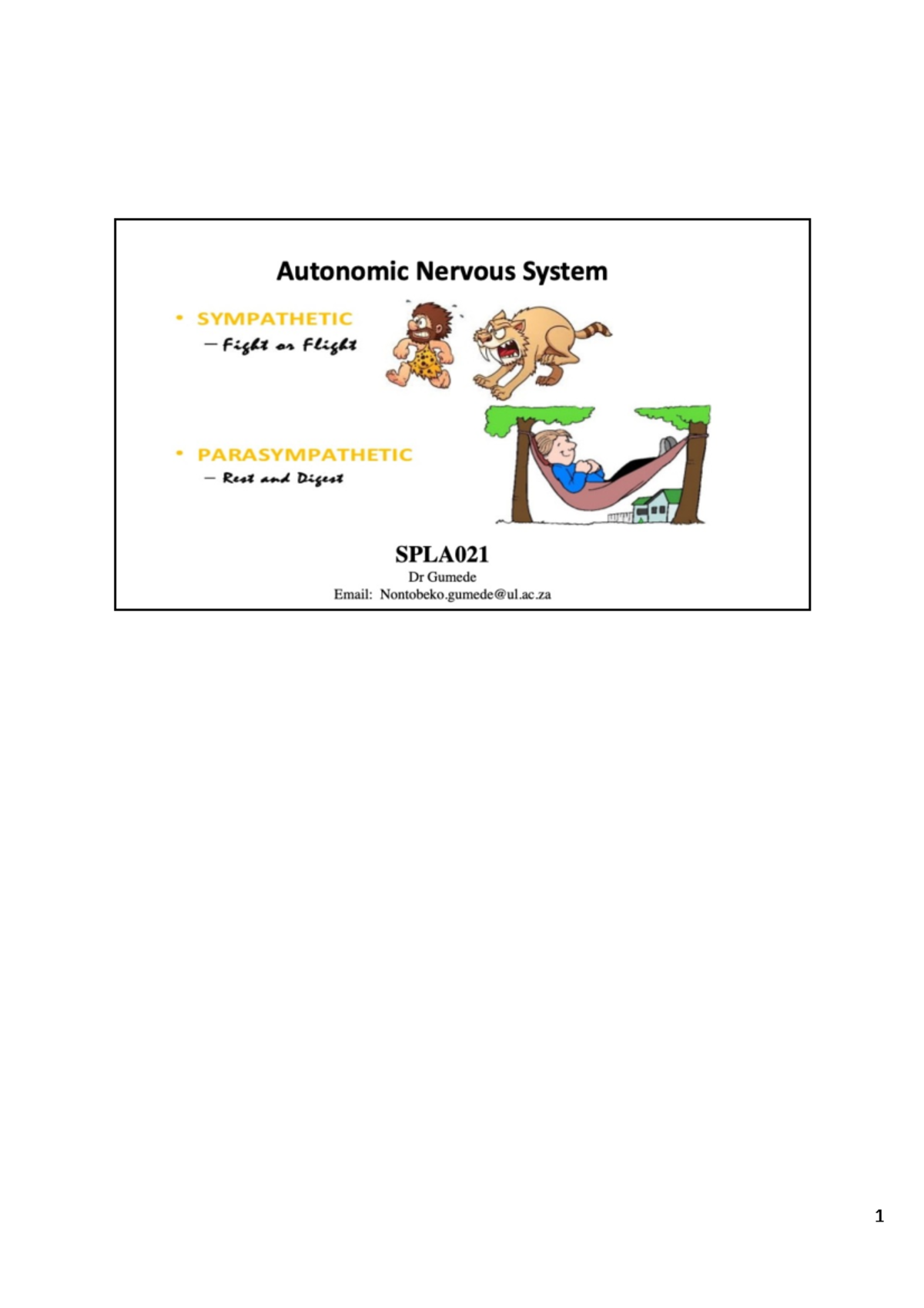 Autonomic Nervous System - This is the course outline we will be ...