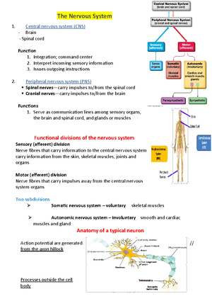 Introduction to Anatomy and Physiology Notes - Week 1: Intro to Anatomy ...