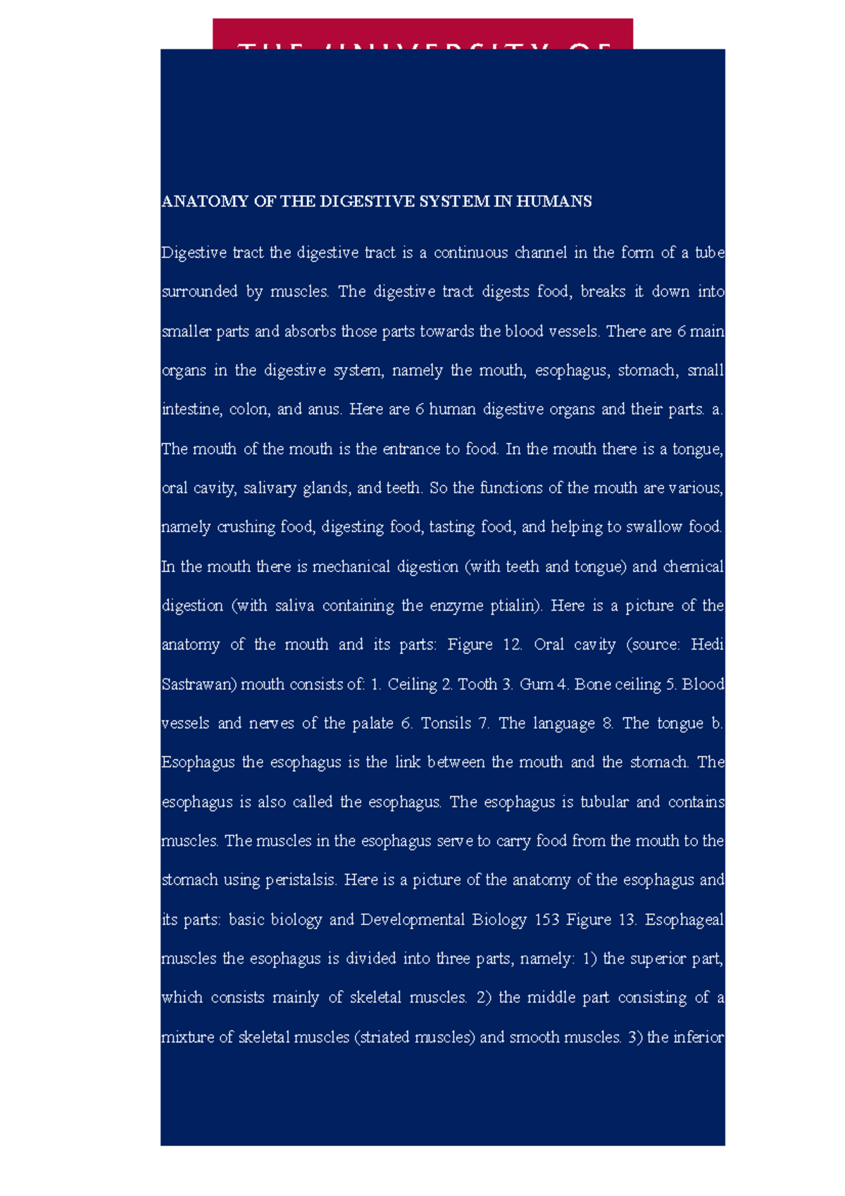 Notes Study Biology - Anatomy OF THE Digestive System IN Humans ...