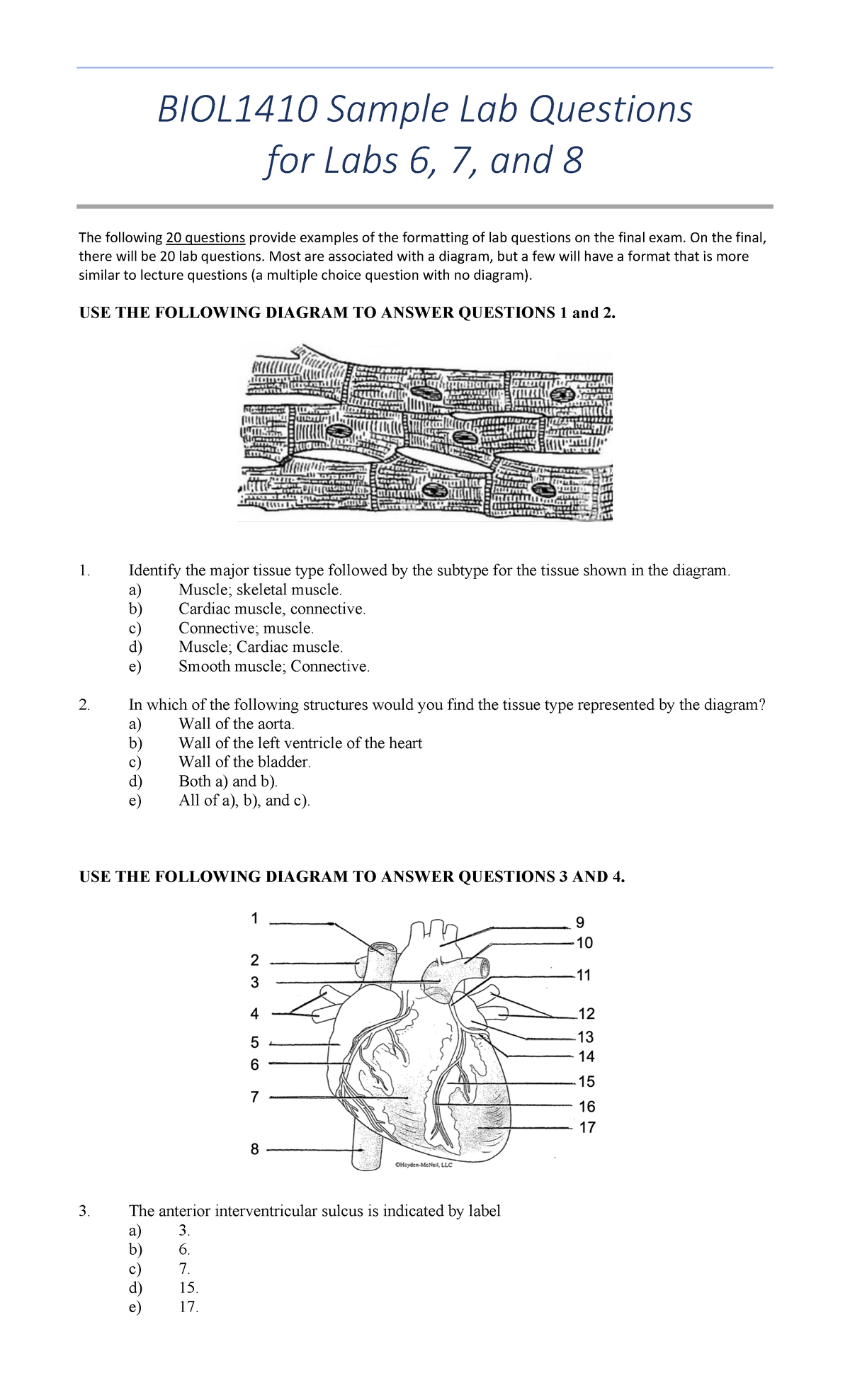 BIOL1410 Sample Lab Questions for Final Exam - BIOL1410 Sample Lab ...