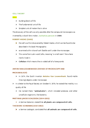 Immersion Format Long BP - WORK IMMERSION COMPILATION FERNANDEZ, N ROSS ...