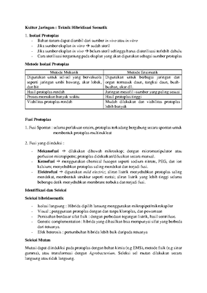 Kultur Jaringan - Kultur Kalus - KULTUR KALUS Kallus: sel amorphus yang ...