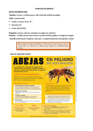 Ejemplos DE LA Clasificación DE LOS Deberes - EJEMPLOS DE LA ...