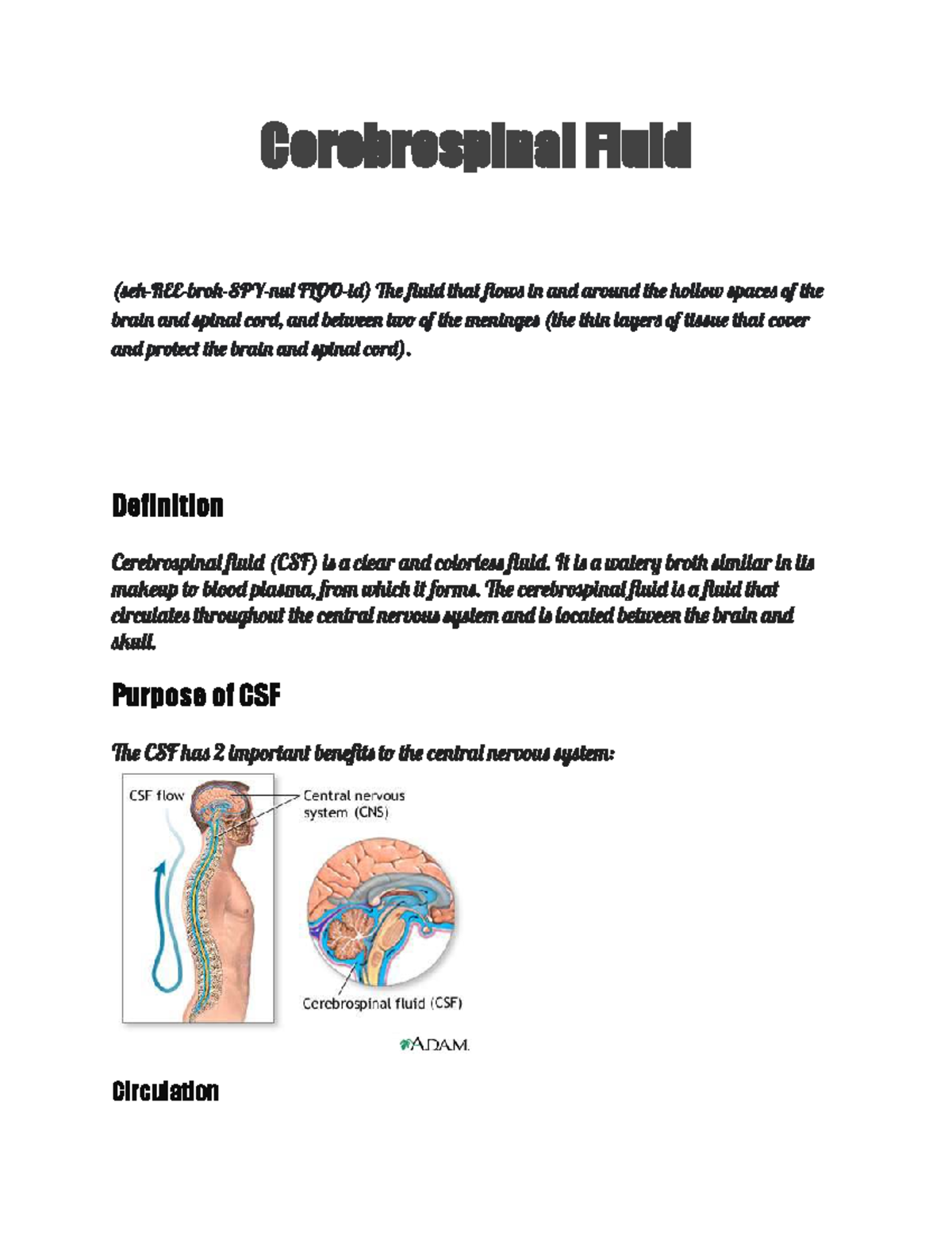 Cerebrospinal Fluid - review this now! - Cerebrospinal Fluid (seh-REE ...