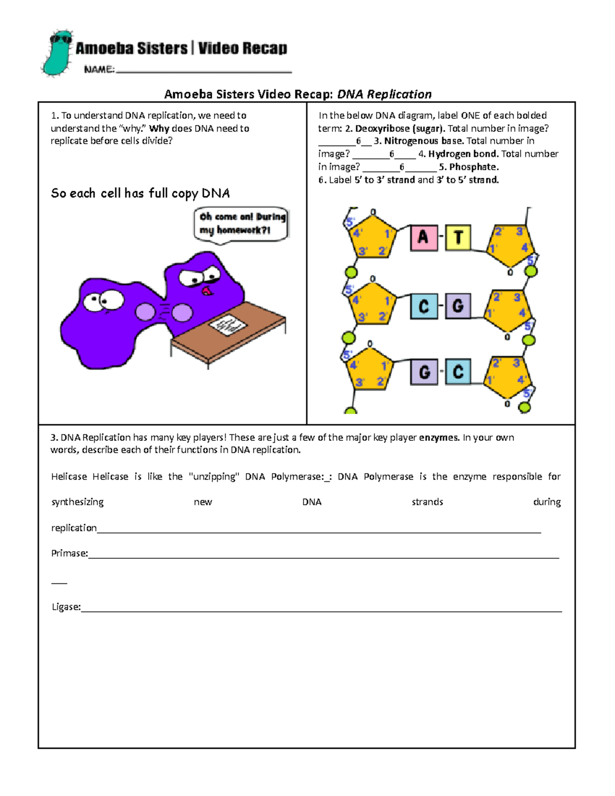- video recap of dna replication by amoeba sisters newheader v - Amoeba ...