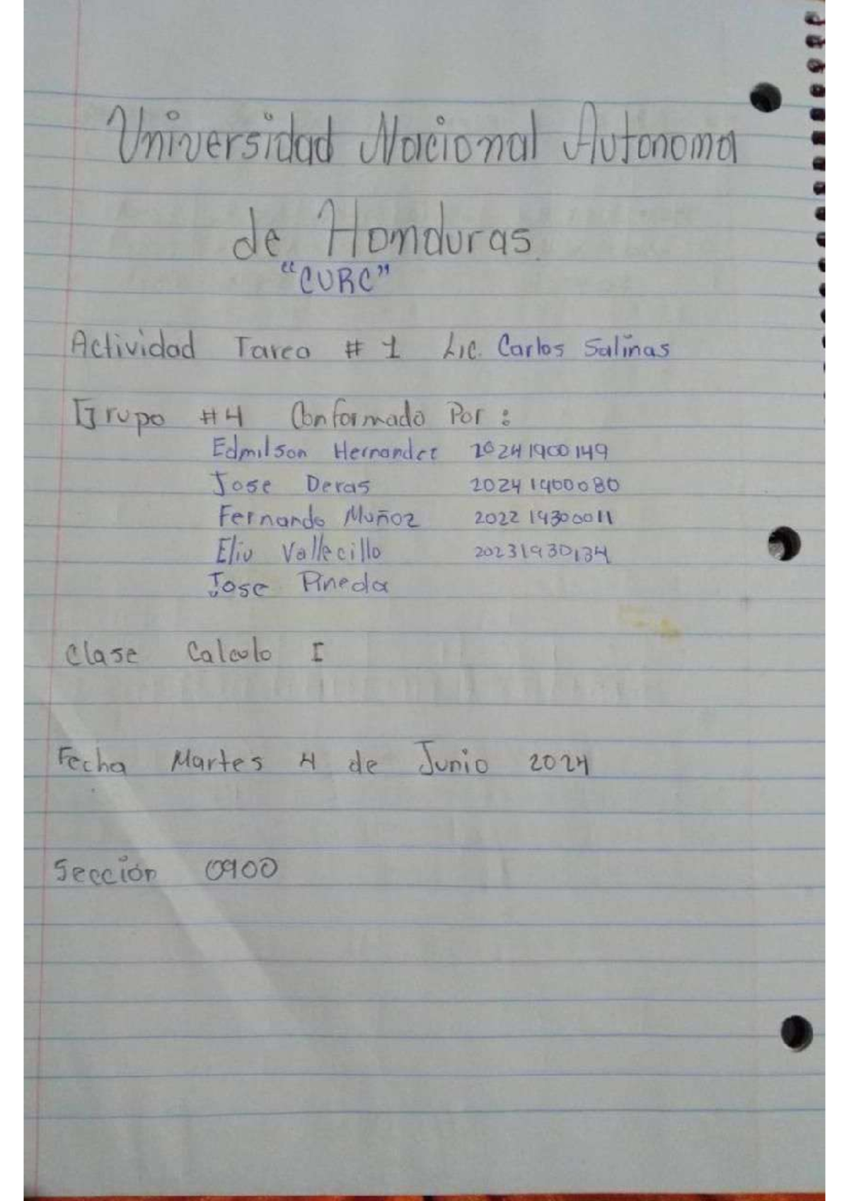 Guia#1 Grupo 4 Mario Deras 20241900080 - Universidad Nacional Autonoma ...