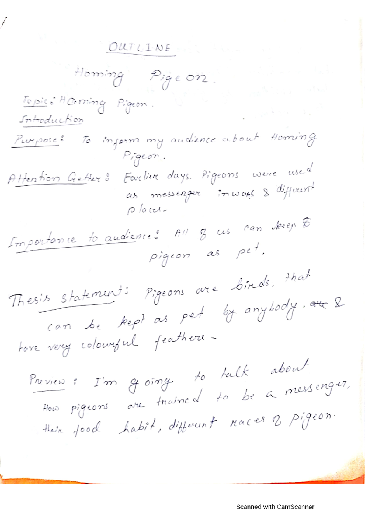 Outline of Homing Pigeon - Production - Studocu