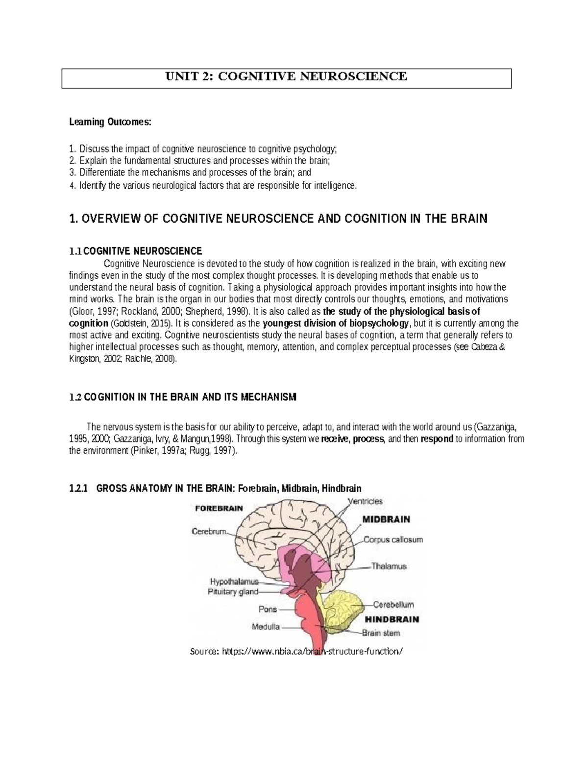 Additional Leraning Material Cognitive Neuroscience - Source: nbia ...