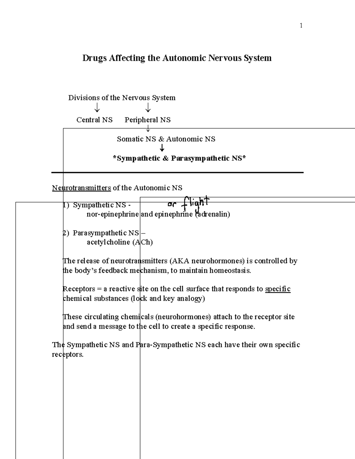 Drugs Affecting the Autonomic Nervous System - Drugs Affecting the ...