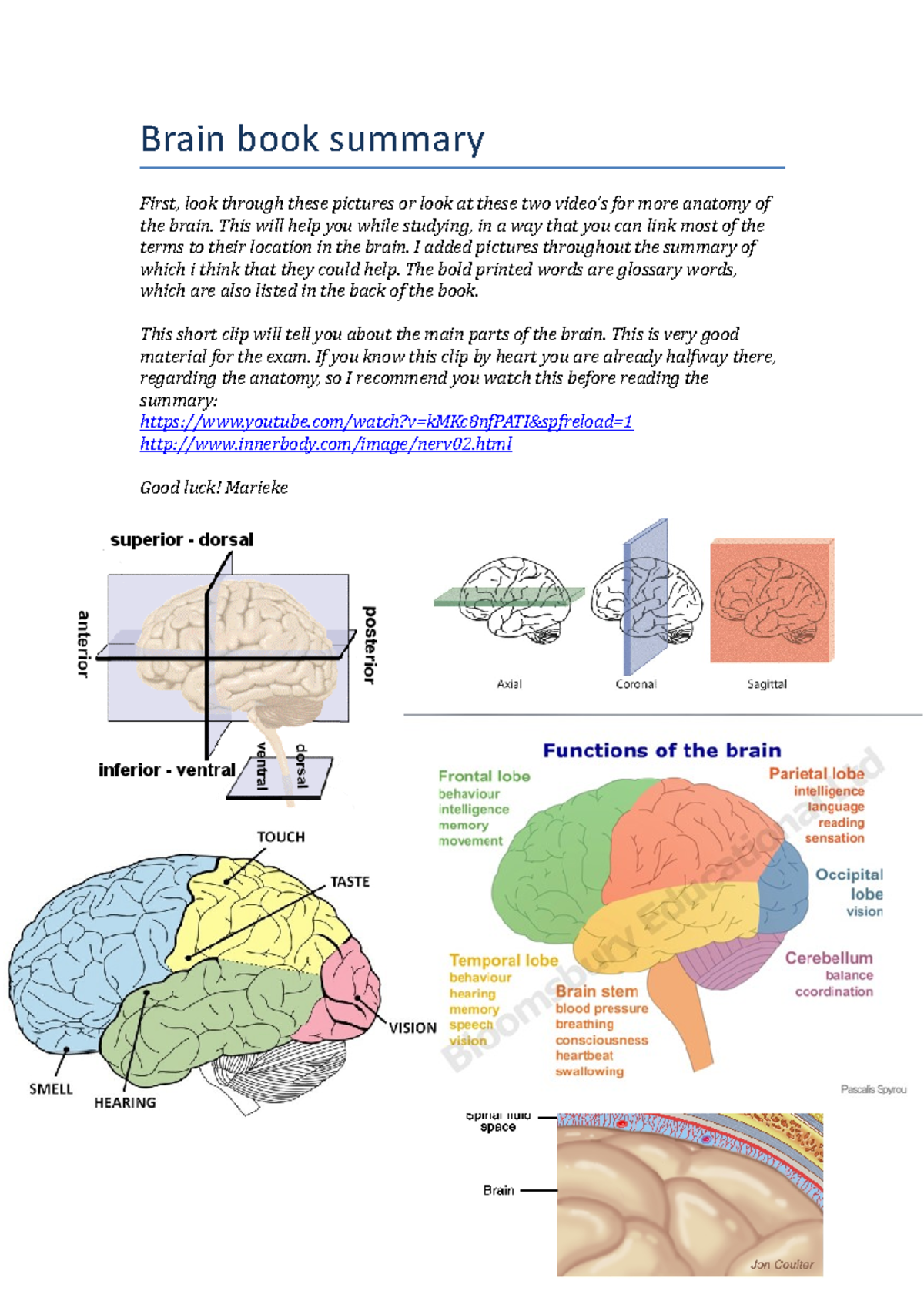 Lecture notes, lectures 1-10 - brain book summary - Brain book summary ...